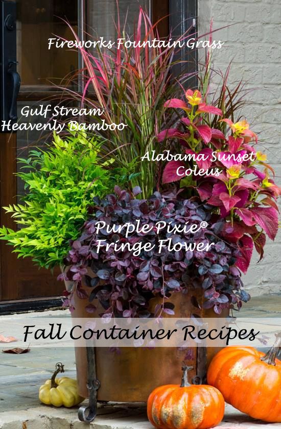 Fall Container Planter Ideas – Married with Style